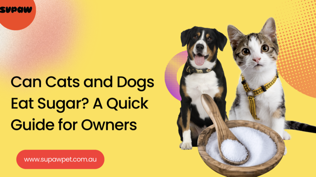 Can Cats and Dogs Eat Sugar? A Quick Guide for Owners - GIS user ...